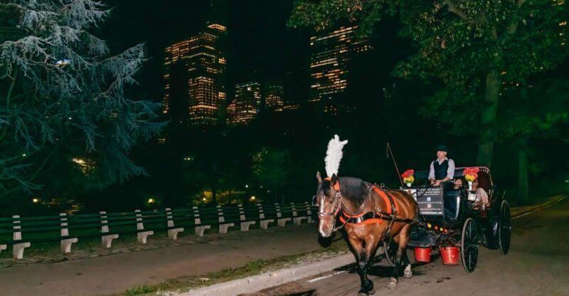 NYC MOONLIGHT HORSE CARRIAGE RIDE through Central Park - A Detailed Look at the Central Park Moonlight Carriage Ride