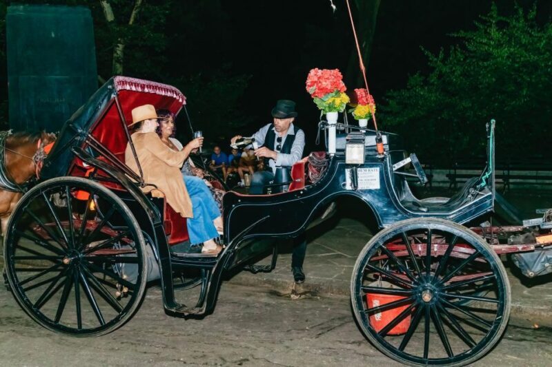 NYC MOONLIGHT HORSE CARRIAGE RIDE through Central Park - Final Thoughts