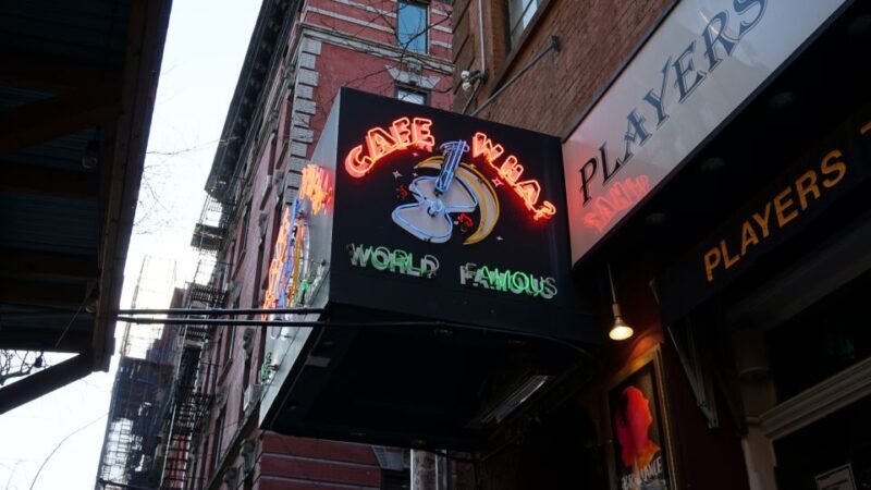 NYC: New York City History of Stand-Up Comedy Tour - Who Should Consider This Tour?