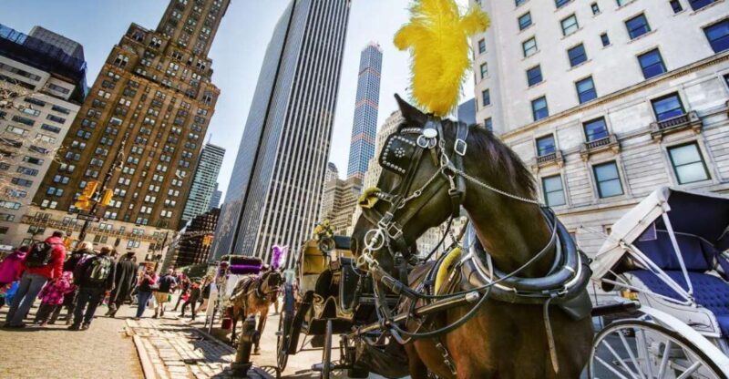 NYC Private Central Park Horse Carriage Ride with Guide - The Practicalities