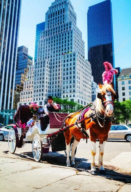 NYC Private Central Park Horse Carriage Ride with Guide - A Closer Look at the Experience