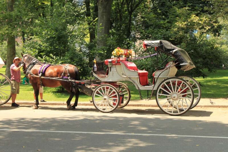 NYC Private Central Park Horse Carriage Ride with Guide - The Value for Money