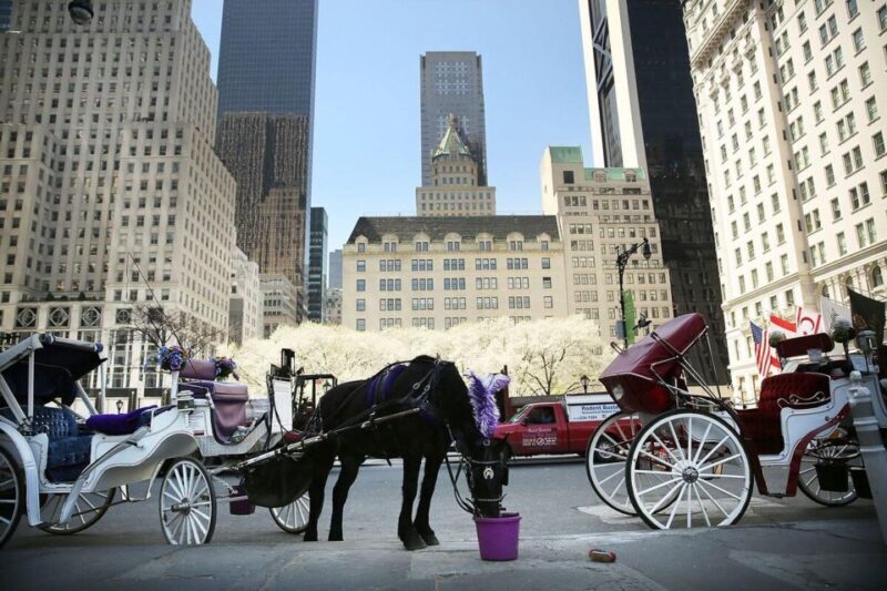 NYC Private Central Park Horse Carriage Ride with Guide - Practical Tips for Visitors