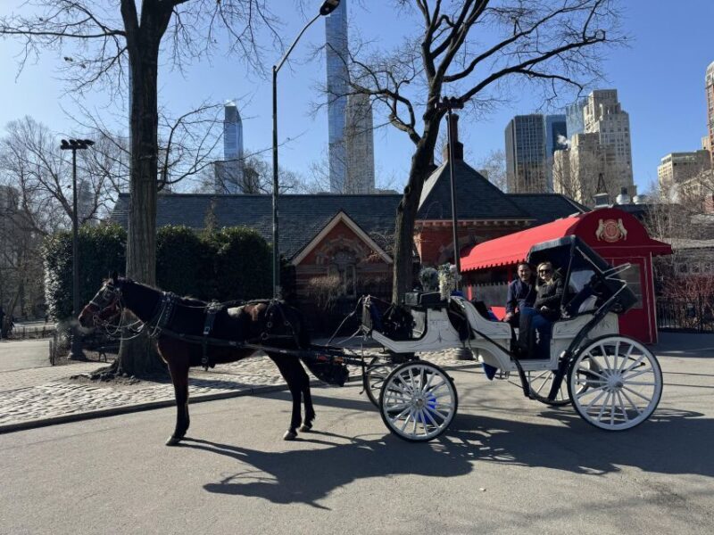 NYC Private Central Park Horse Carriage Ride with Guide - Final Thoughts
