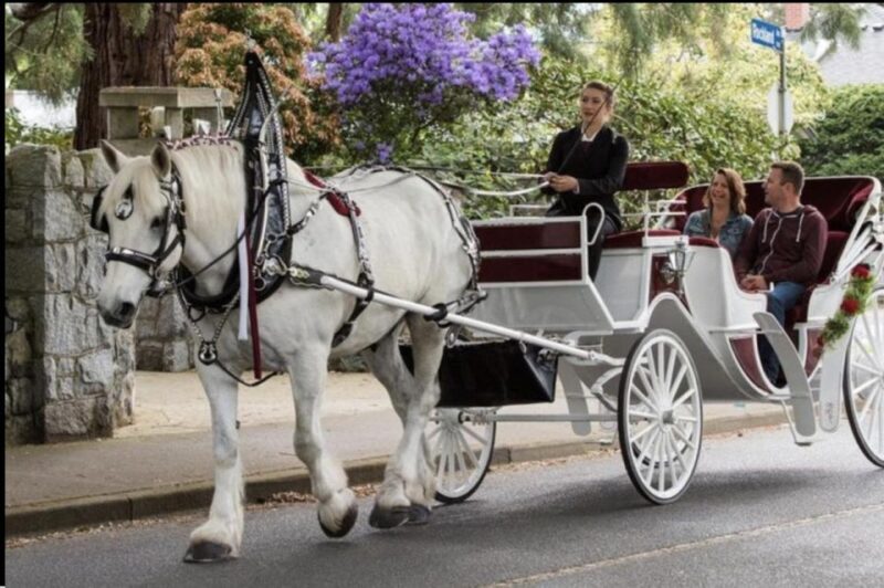 NYC: Private Central Park Horse Carriage Ride with Guide - A Detailed Look at the Central Park Horse Carriage Experience