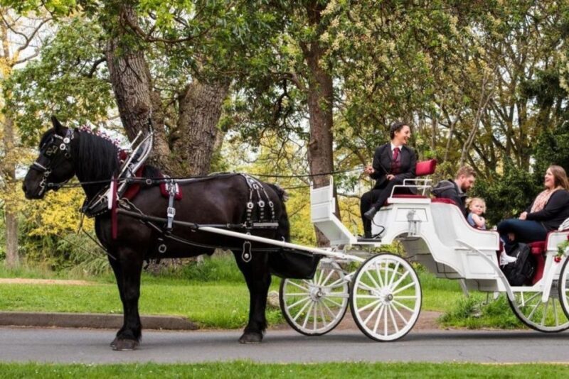 NYC: Private Central Park Horse Carriage Ride with Guide - Value for Money and Booking Details