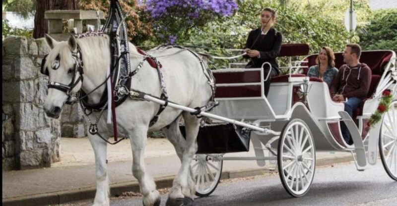 NYC: Private Central Park Horse Carriage Ride with Guide - Authentic Reviews: What Real Travelers Say