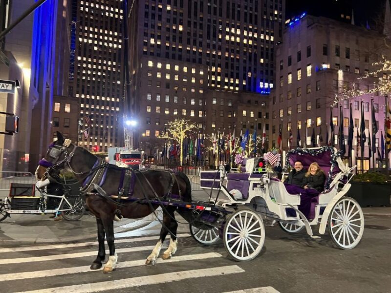 NYC: Private Central Park Horse Carriage Ride with Guide - FAQ
