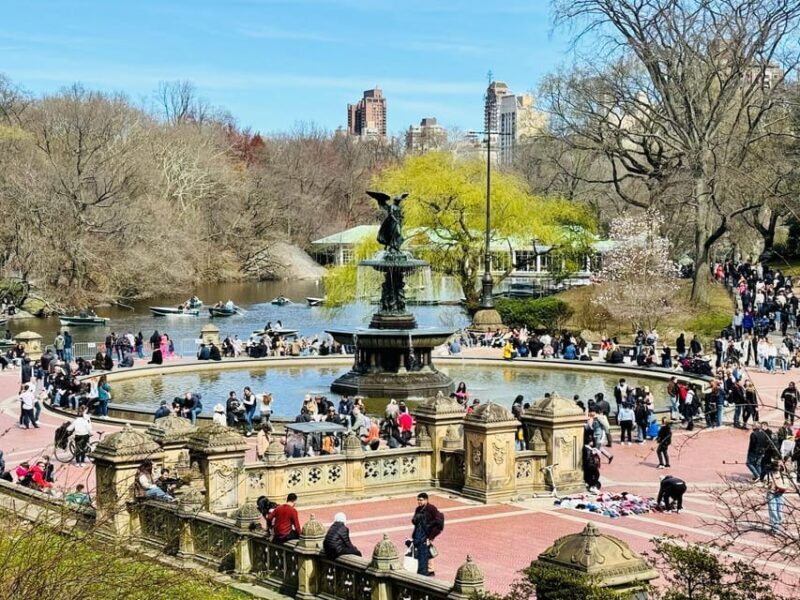 NYC: Private Central Park Pedicab Tours / PICKUP FROM MUSEUM - FAQ