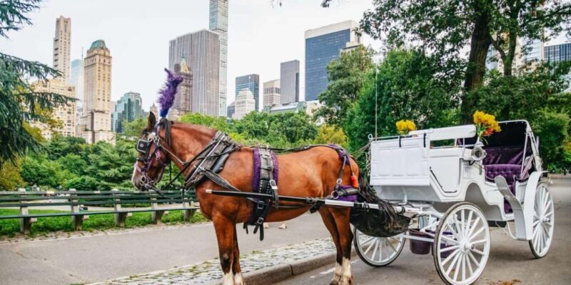 NYC: Private Christmas Lights Horse Carriage Ride - Key Points