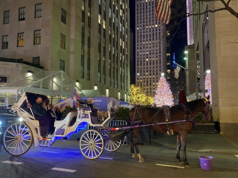 NYC: Private Christmas Lights Horse Carriage Ride - The Sum Up