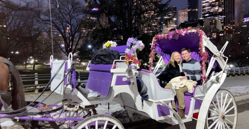 NYC: Private Christmas Lights Horse Carriage Ride - Setting the Scene: A Cozy Tour Through NYC’s Holiday Splendor