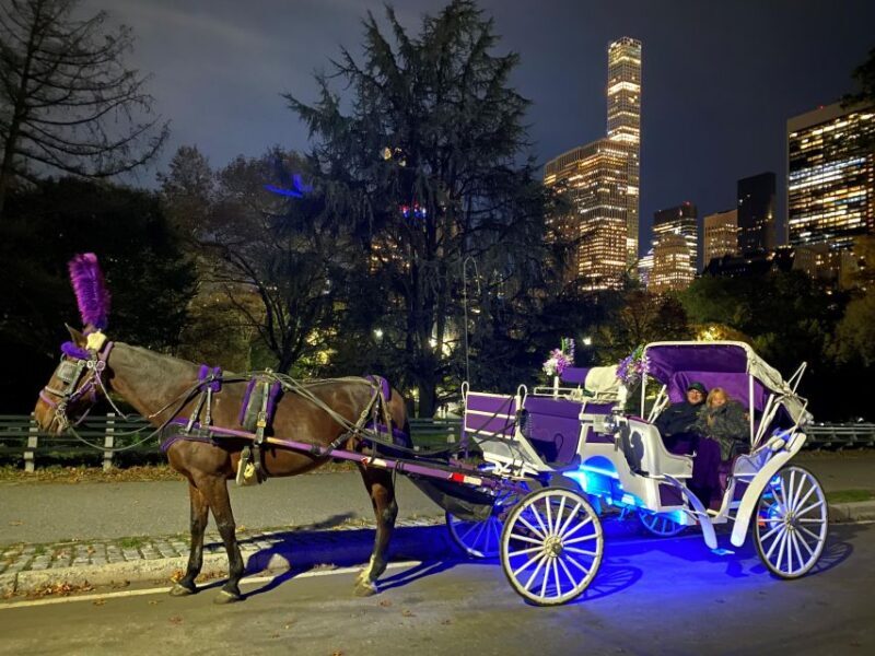 NYC: Private Christmas Lights Horse Carriage Ride - Guides and Commentary: Knowledgeable and Friendly
