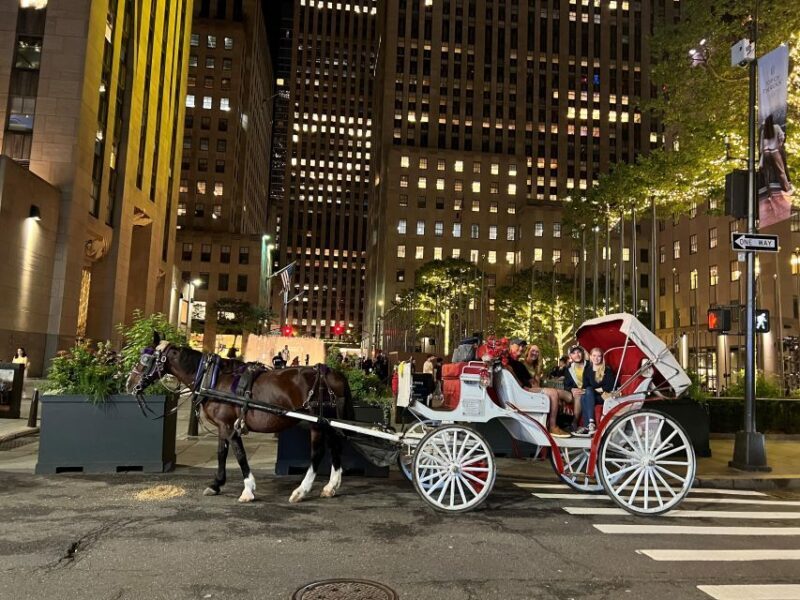 NYC: Private Christmas Lights Horse Carriage Ride - The Carriage & Comfort: Cozy, Clean, and Classic