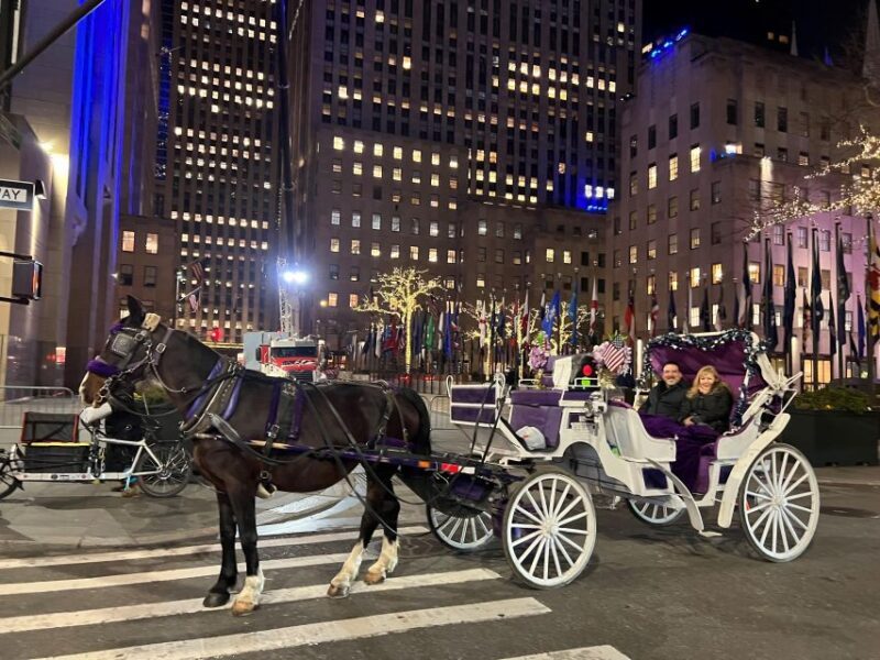 NYC: Private Christmas Lights Horse Carriage Ride - Price & Value: Budget-Friendly Holiday Magic