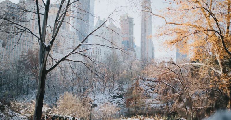 NYC Private Walking Tour with Professional Guide - Key Points