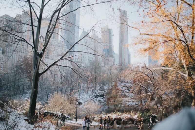 NYC Private Walking Tour with Professional Guide - An In-Depth Look at the NYC Private Walking Tour