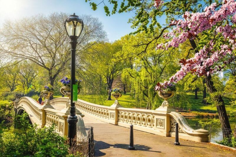 NYC: Sightseeing Day Trip with Statue of Liberty Visit - An In-Depth Look at the Tour Itinerary
