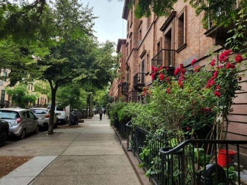 NYC: Soho, Little Italy and Chinatown Private Walking Tour - Price & Value