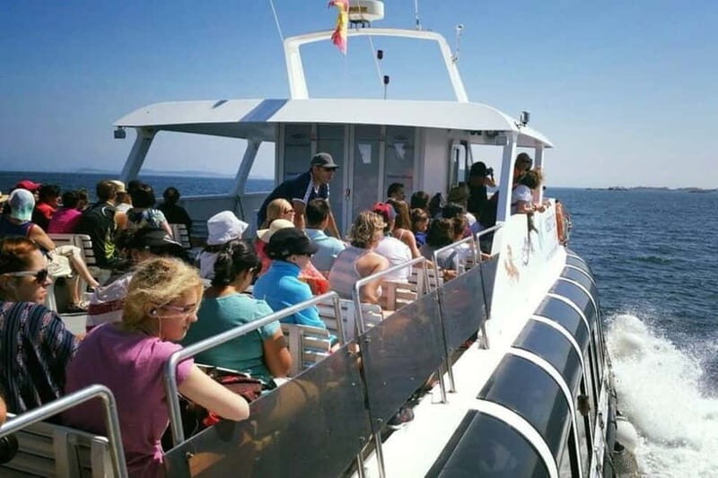 O Grove: Boat Tour with Mussel Tasting and Wine - Practical Tips for Travelers