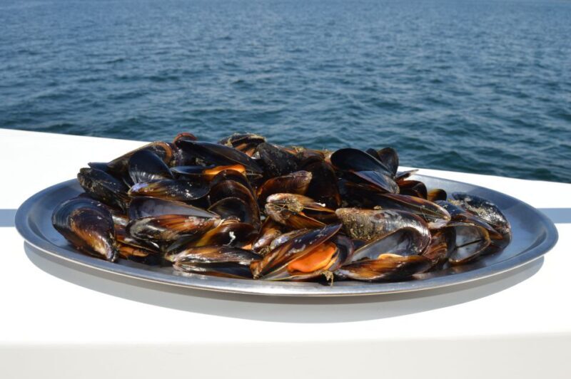 O Grove: Ría de Arousa Catamaran Tour with Seafood Lunch - Practical Tips for Your Cruise