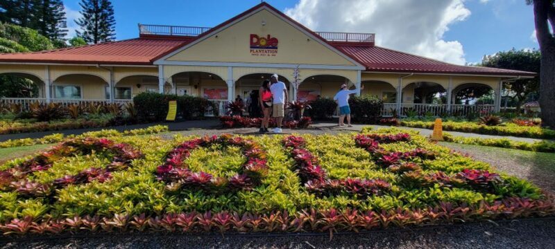 Oahu: 5 Hour Exclusive Car & Driver - ETOHI - Discovering Oahu with a Private Car & Driver: A Practical Review of ETOHIs 5-Hour Experience