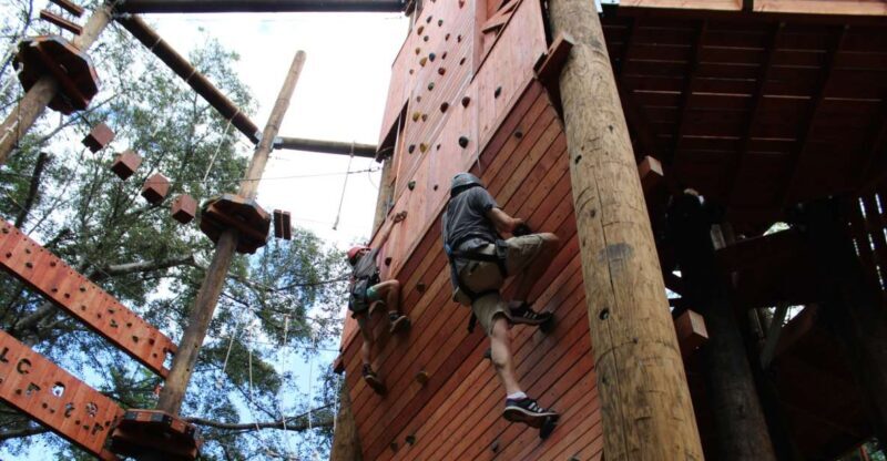 Oahu: Aerial Adventure, Climbing, & Freefall Experience - The Itinerary: What You Can Expect