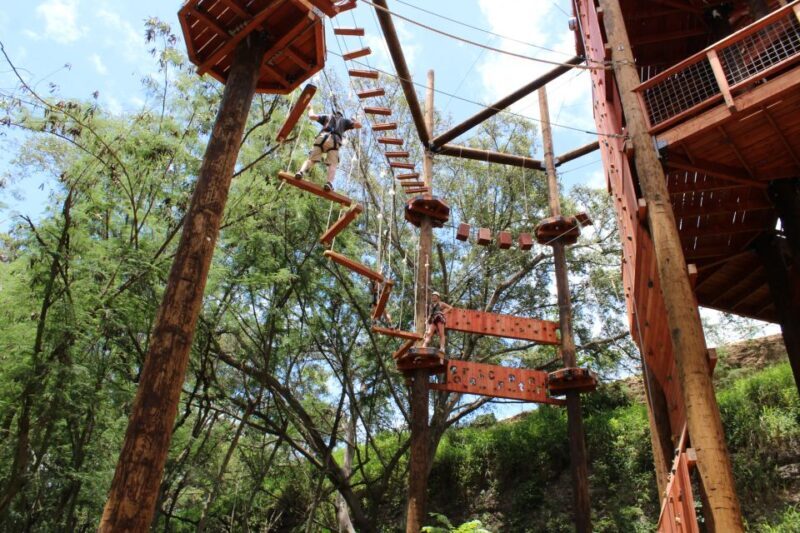 Oahu: Aerial Adventure, Climbing, & Freefall Experience - What’s Included & What You’ll Need to Bring