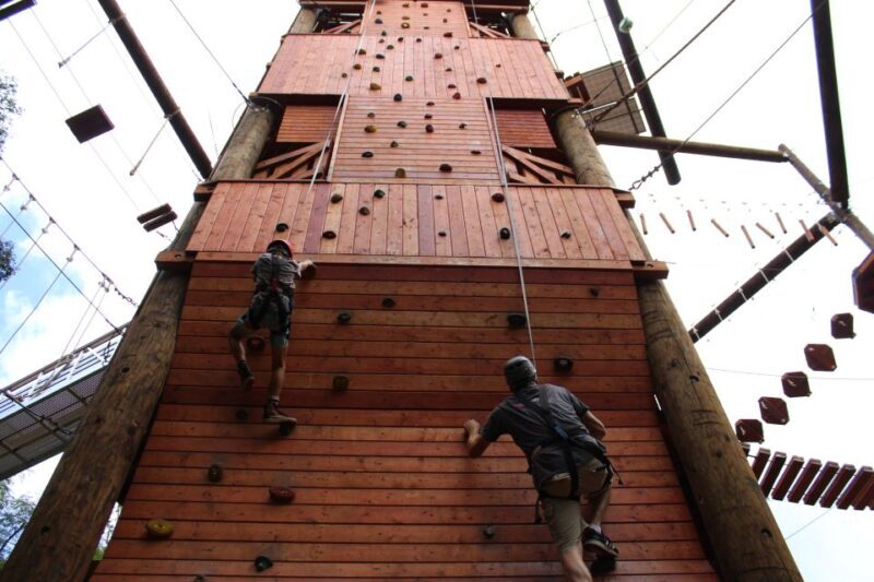 Oahu: Aerial Adventure, Climbing, & Freefall Experience - Real Feedback from Participants
