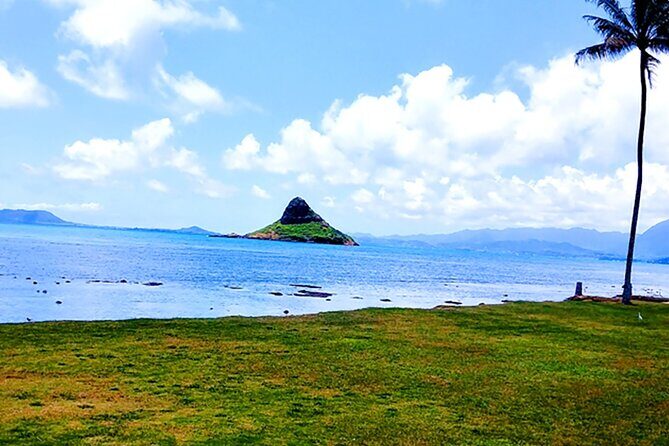 Oahu: All Day Circle Island Tour with Snorkeling - What Travelers Say: Authentic Insights from Reviews
