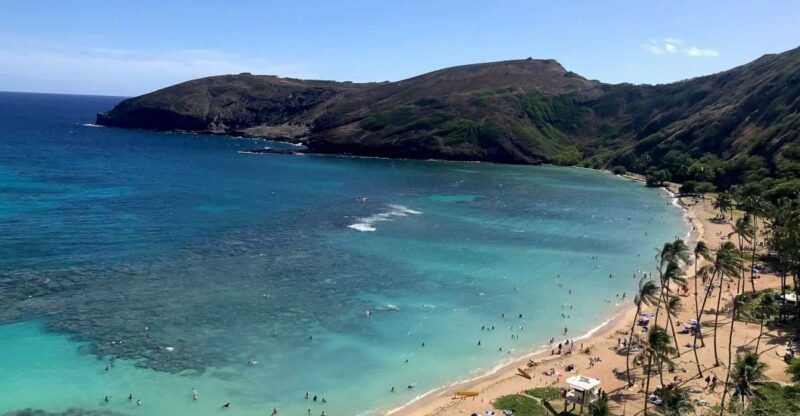 Oahu: Beauty and the Feast Circle Island Experience - The Experience: Transportation, Guides, and Pacing