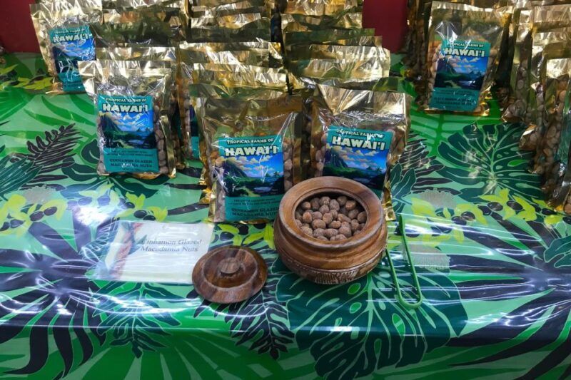 Oahu: Beauty and the Feast Circle Island Experience - The Sum Up: Who Is This Tour Best For?