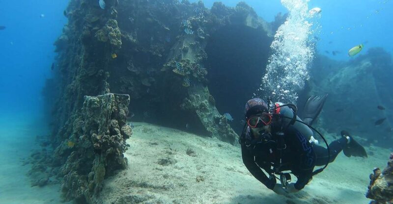 Oahu: Beginner SCUBA Dive at Electric Beach - Key Points