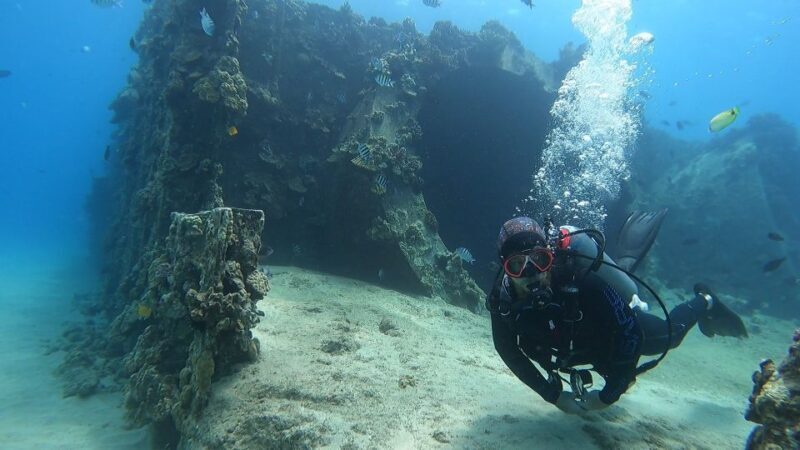 Oahu: Beginner SCUBA Dive at Electric Beach - Deep Dive into the Itinerary