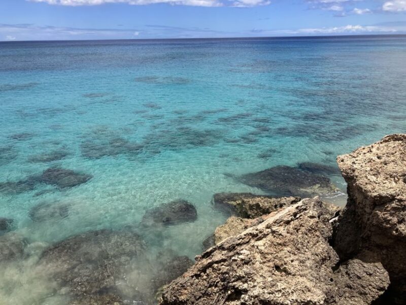 Oahu: Beginner SCUBA Dive at Electric Beach - What’s Included and What You Need to Know