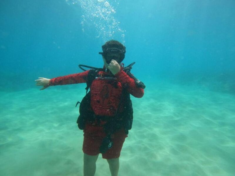 Oahu: Beginner SCUBA Dive at Electric Beach - Who Will Love This Experience?