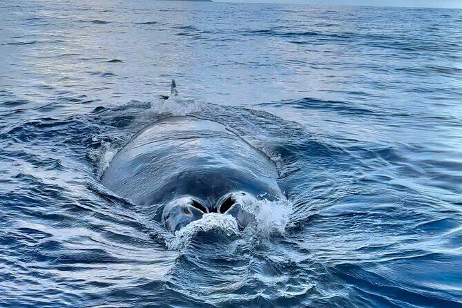 Oahu Boat Tour Ko Olina Experience - FAQ