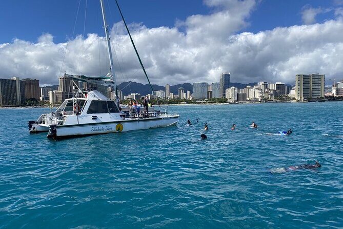 Oahu Catamaran Snorkel Tour: See Turtles 100% Guaranteed - Why This Snorkel Tour Stands Out