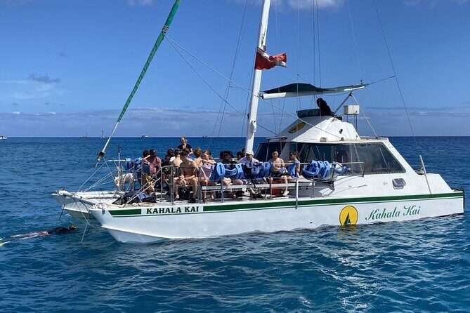Oahu Catamaran Snorkel Tour: See Turtles 100% Guaranteed - Practical Details: Meeting, Timing, and Logistics