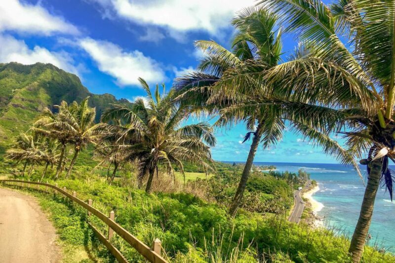 Oahu: Circle Island Top Sights Full-Day Tour w/ Local Guide - FAQ