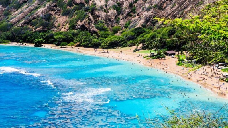 Oahu Circle Island Tour - Best Spots & Beaches - Who Should Consider This Tour?