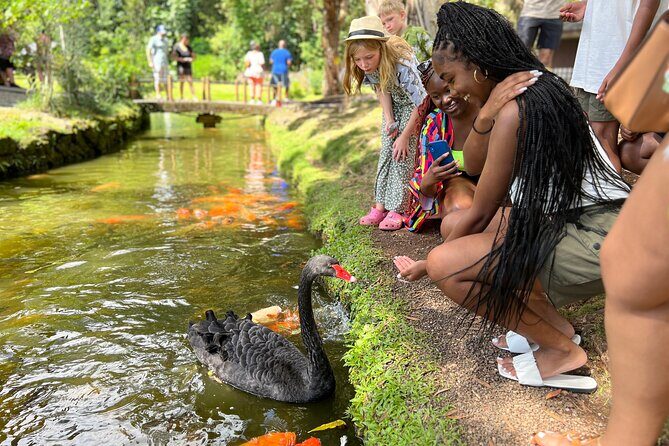 Oahu Circle Island Tour Great for Solo Travelers and Small Groups - An In-Depth Look at the Oahu Circle Island Tour