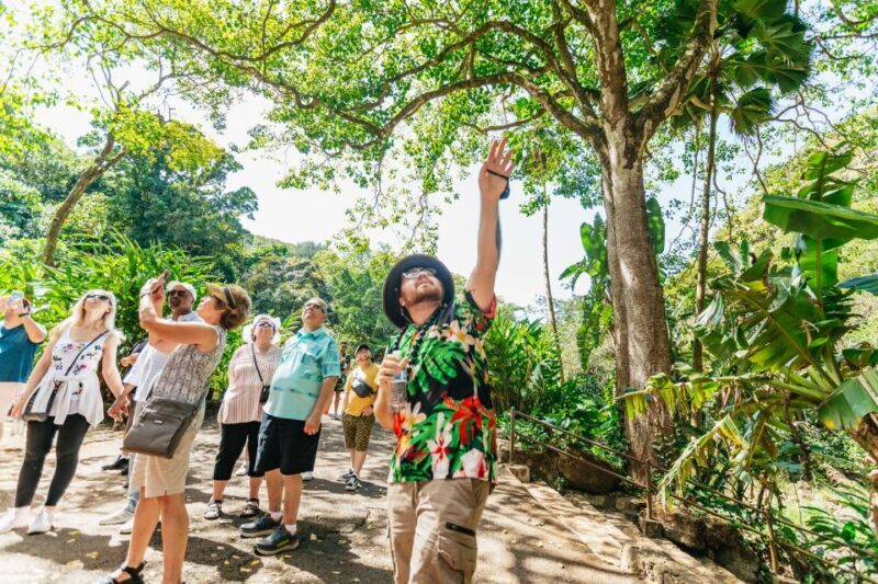 Oahu: Circle Island Tour with Lunch & Waimea Waterfall - A Deep Dive into the Oahu Circle Island Experience