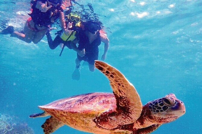 Oahu Circle Island Tour with Snorkeling + Free Perks & Free Wi-Fi - Exploring the Oahu Circle Island Tour: A Closer Look