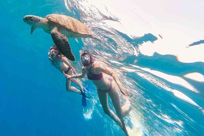 Oahu Coastline Cruise: Turtle Snorkeling and Jumping Platform - A Detailed Look at the Oahu Coastline Cruise