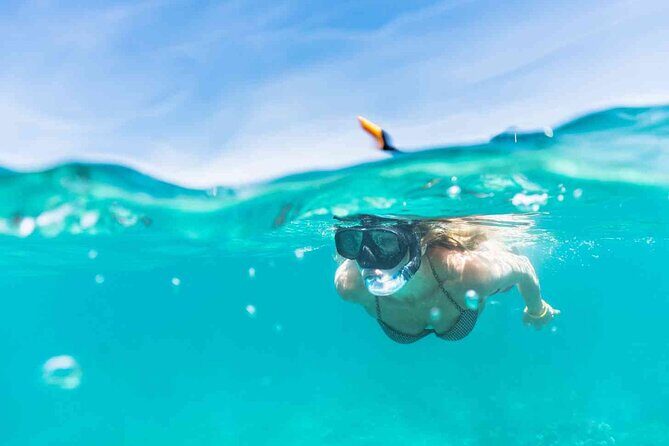 Oahu Coastline Cruise: Turtle Snorkeling and Jumping Platform - Final Thoughts