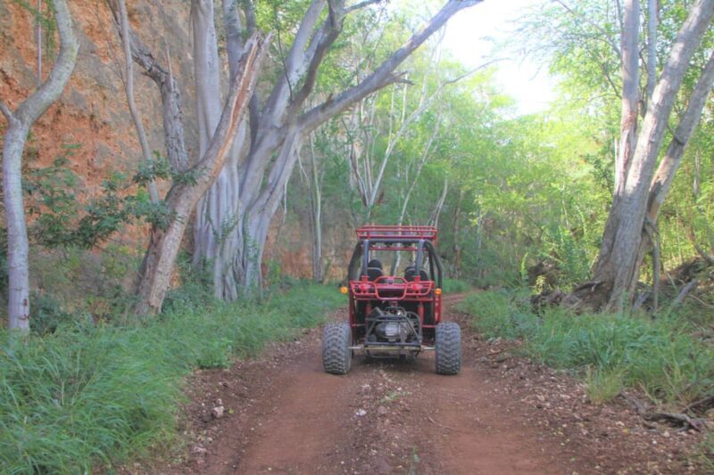 Oahu: Coral Crater Zipline and Offroad ATV Adventure - Final Thoughts