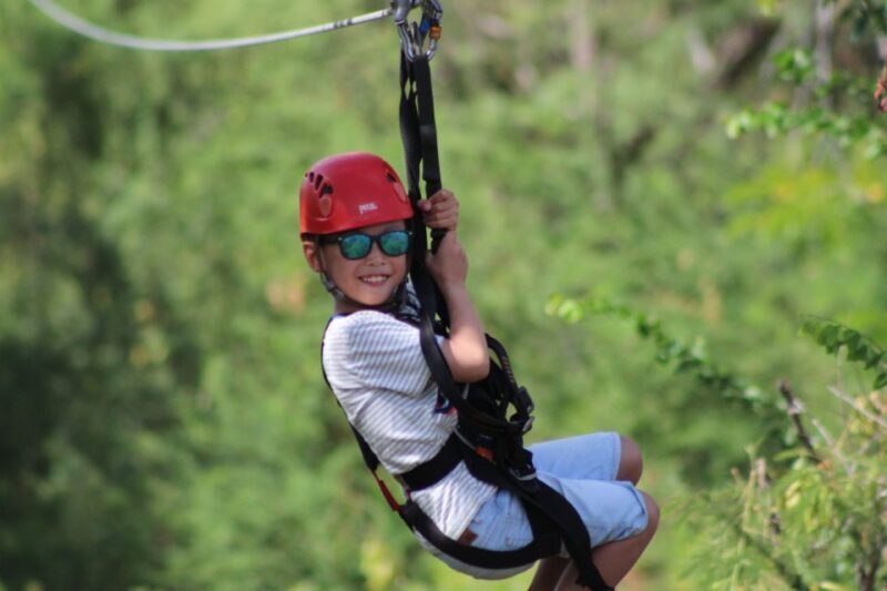 Oahu: Coral Crater Zipline Tour - Key Points