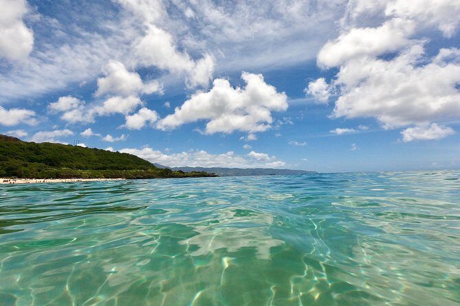 Oahu Custom Private Circle Island and Mini Circle Island Tours - Final Thoughts