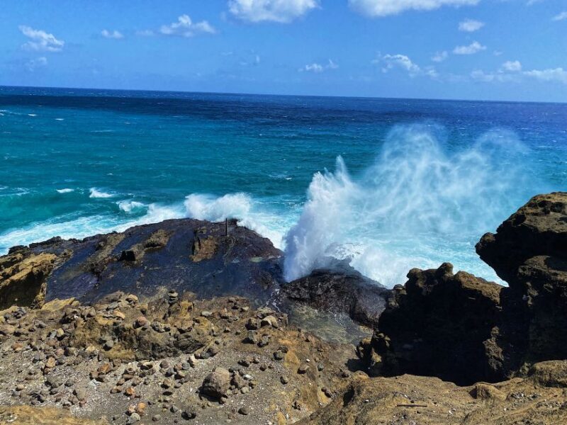 Oahu: Diamond Head Crater Hike and North Shore Experience - What to Expect on This Tour
